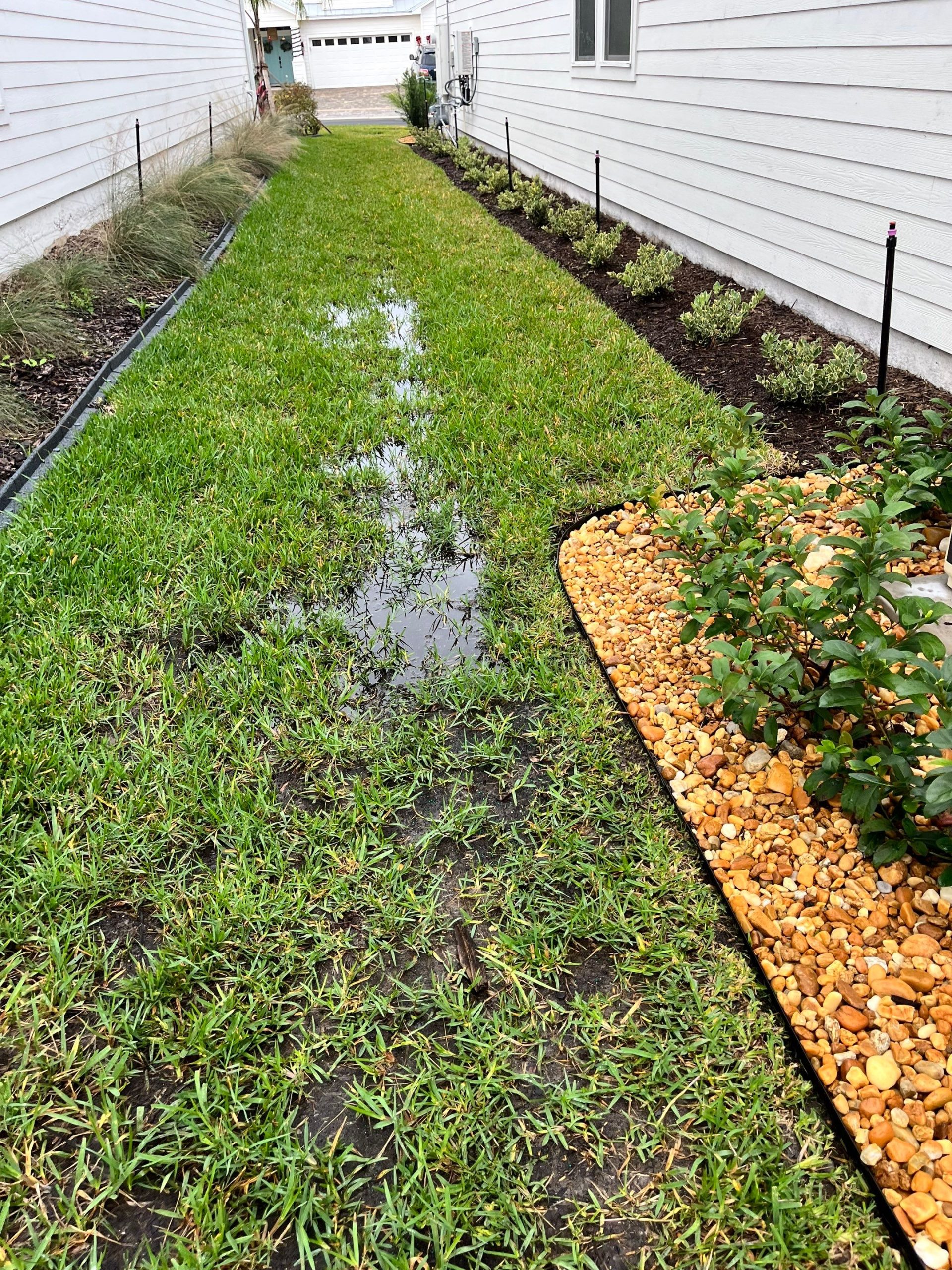 Drainage Solutions For Florida Landscapes - Taylor Anthony 365